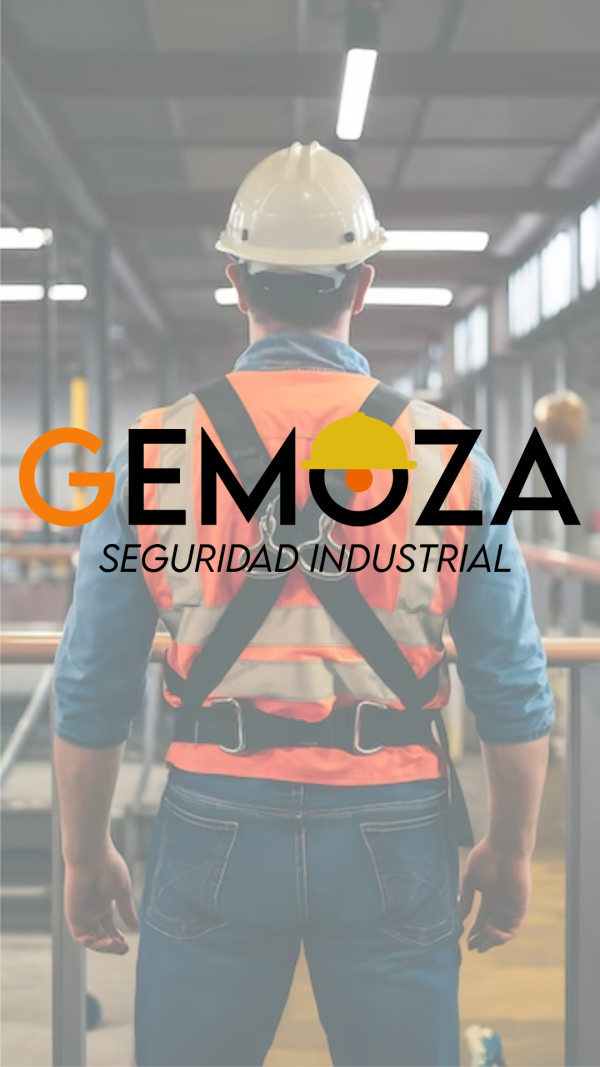Inicio - Gemoza